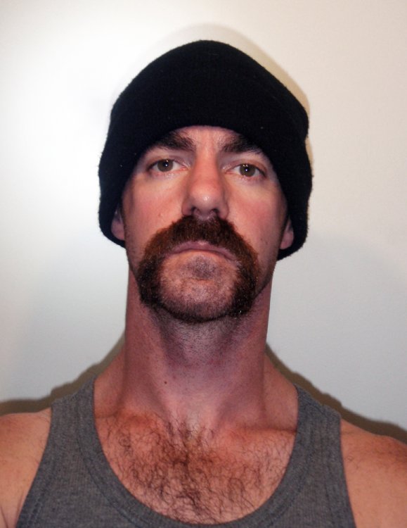 Stunt Book Australia :: Member Profile